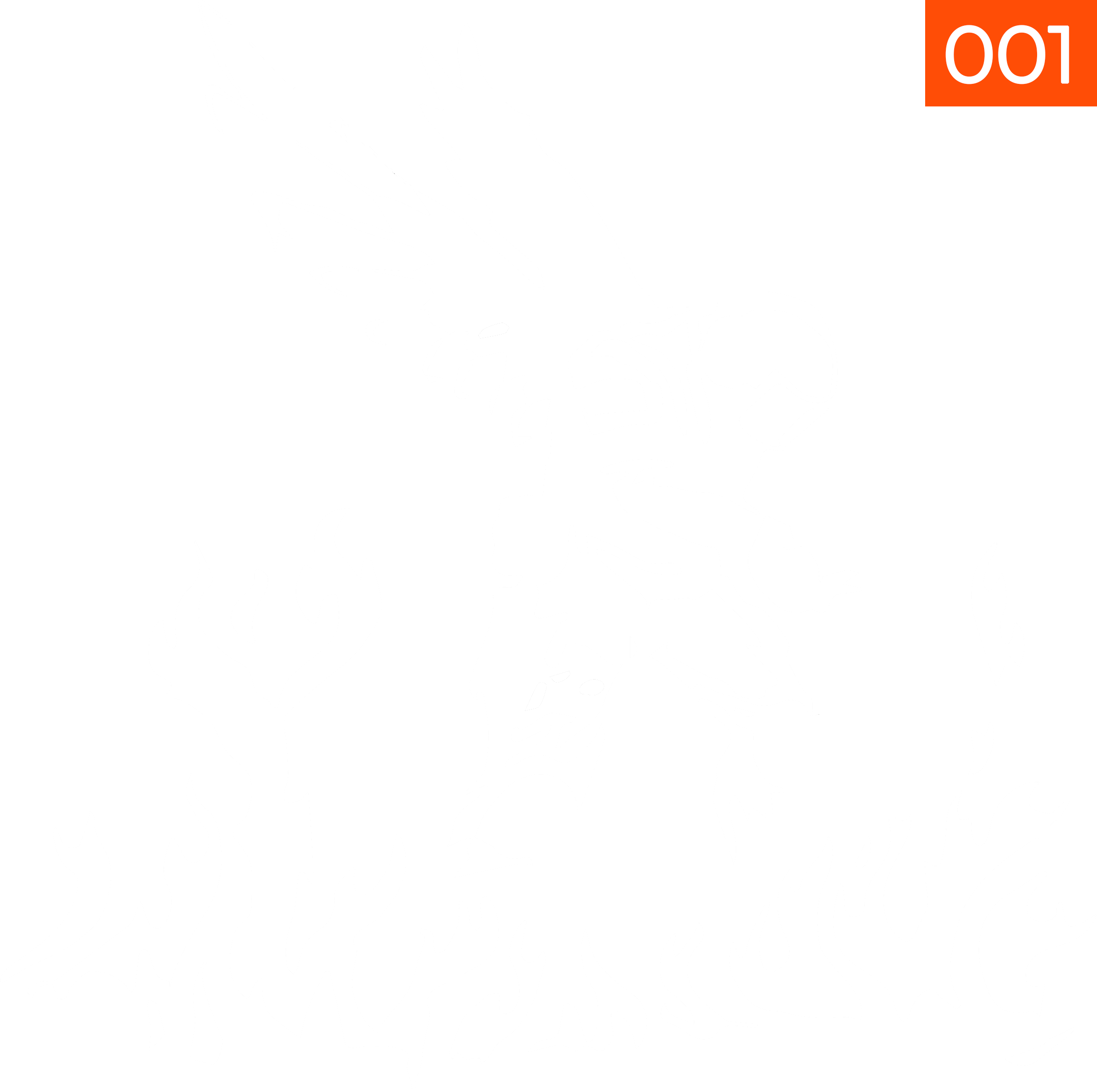 Lucas Zarate - Portfolio